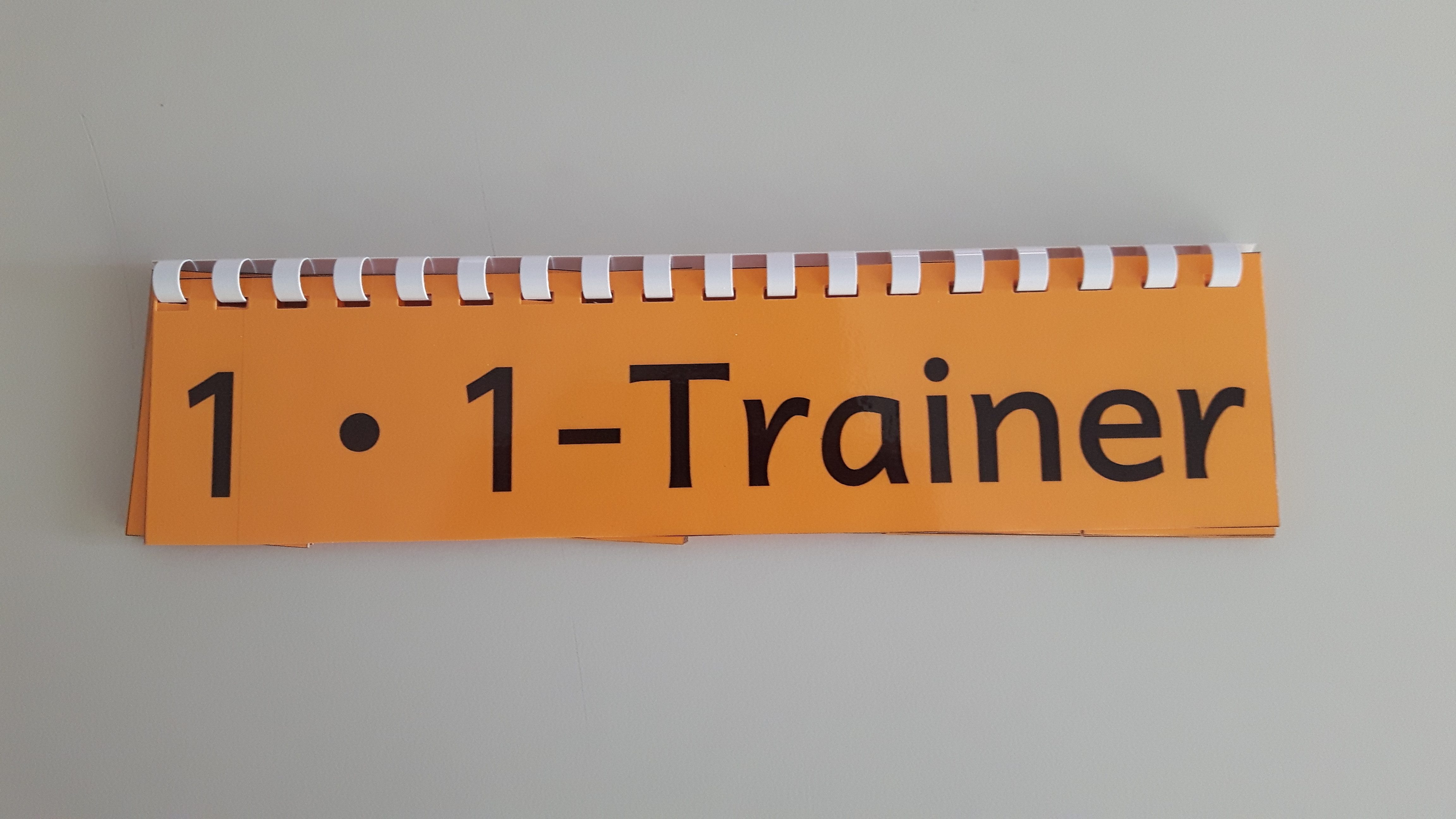 1x1-Trainer